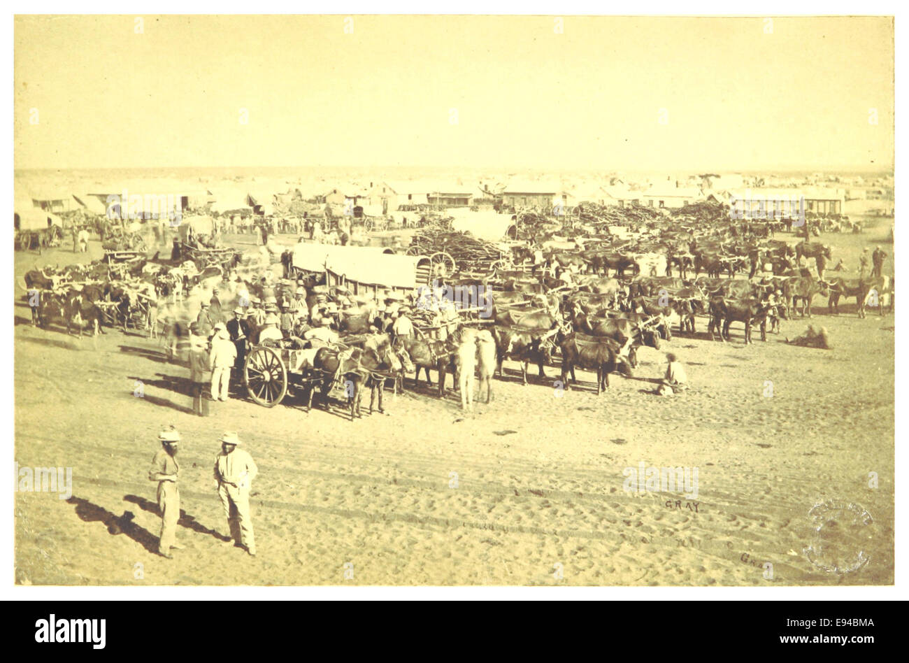 The illustration in *DF1873 The New Rush Market* captures a historical ...