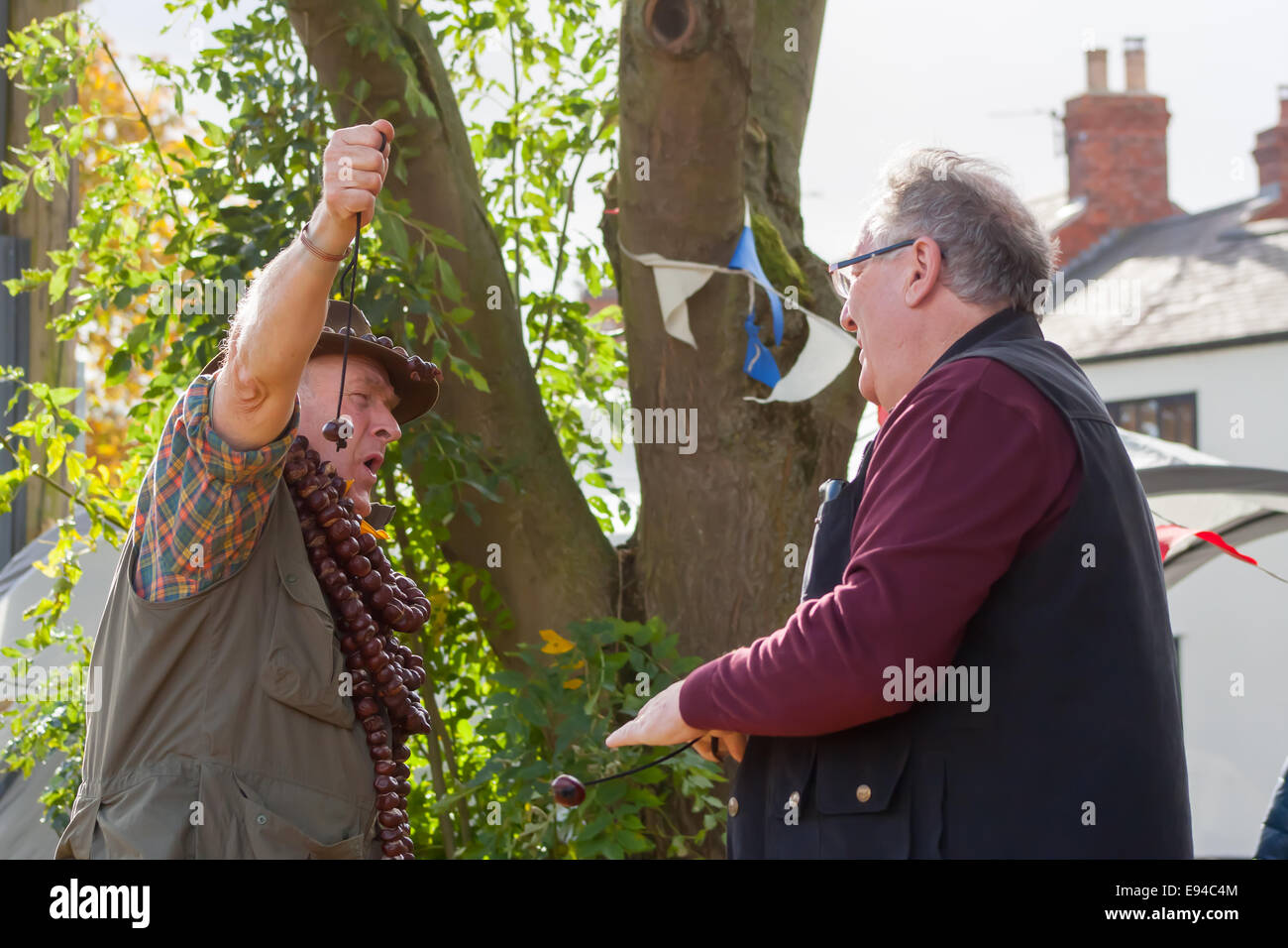 Conker competition hi-res stock photography and images - Alamy