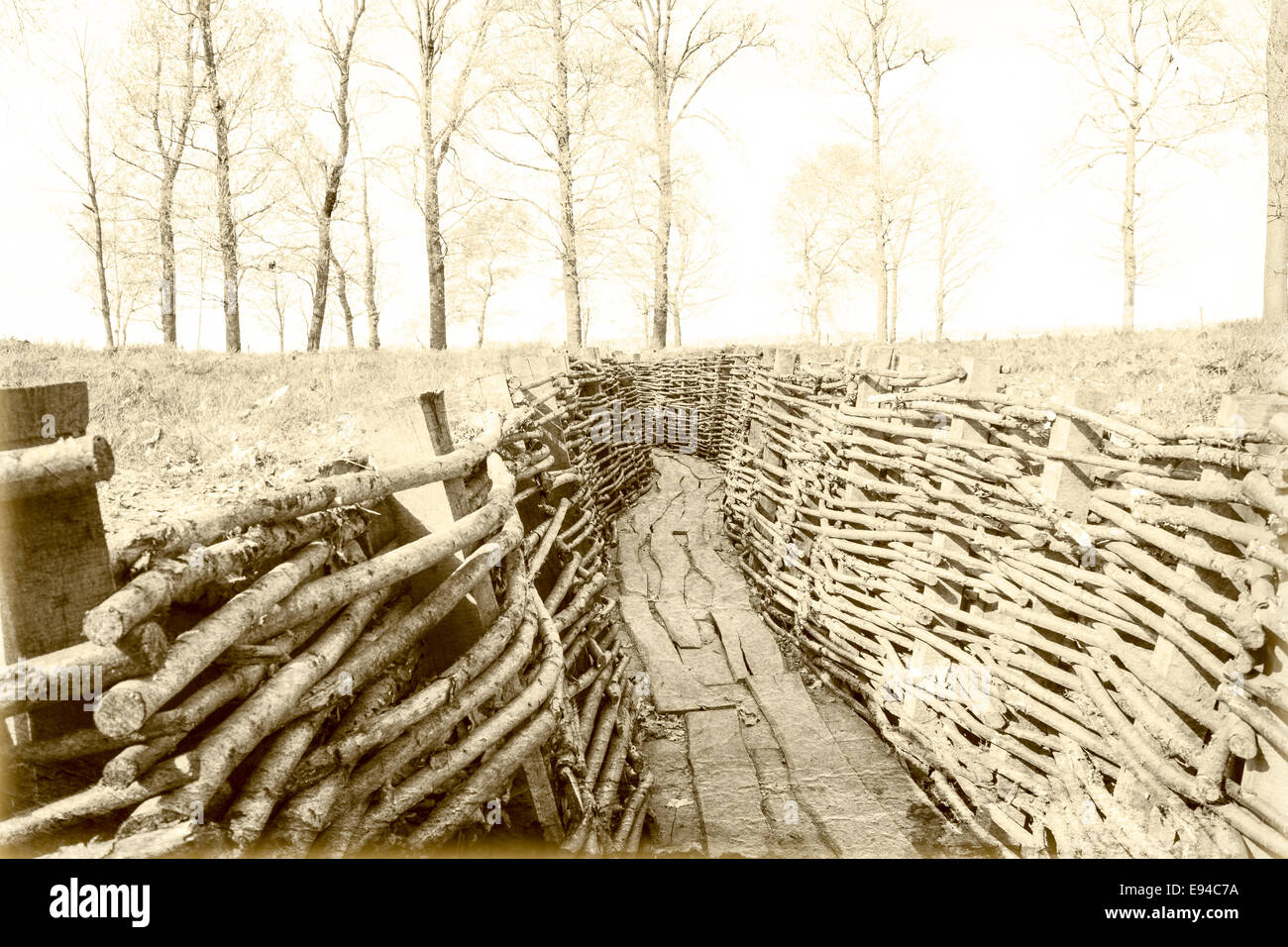 world war one trench belgium flanders Stock Photo - Alamy