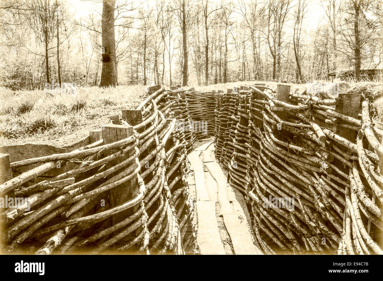 world war one trench belgium flanders Stock Photo - Alamy
