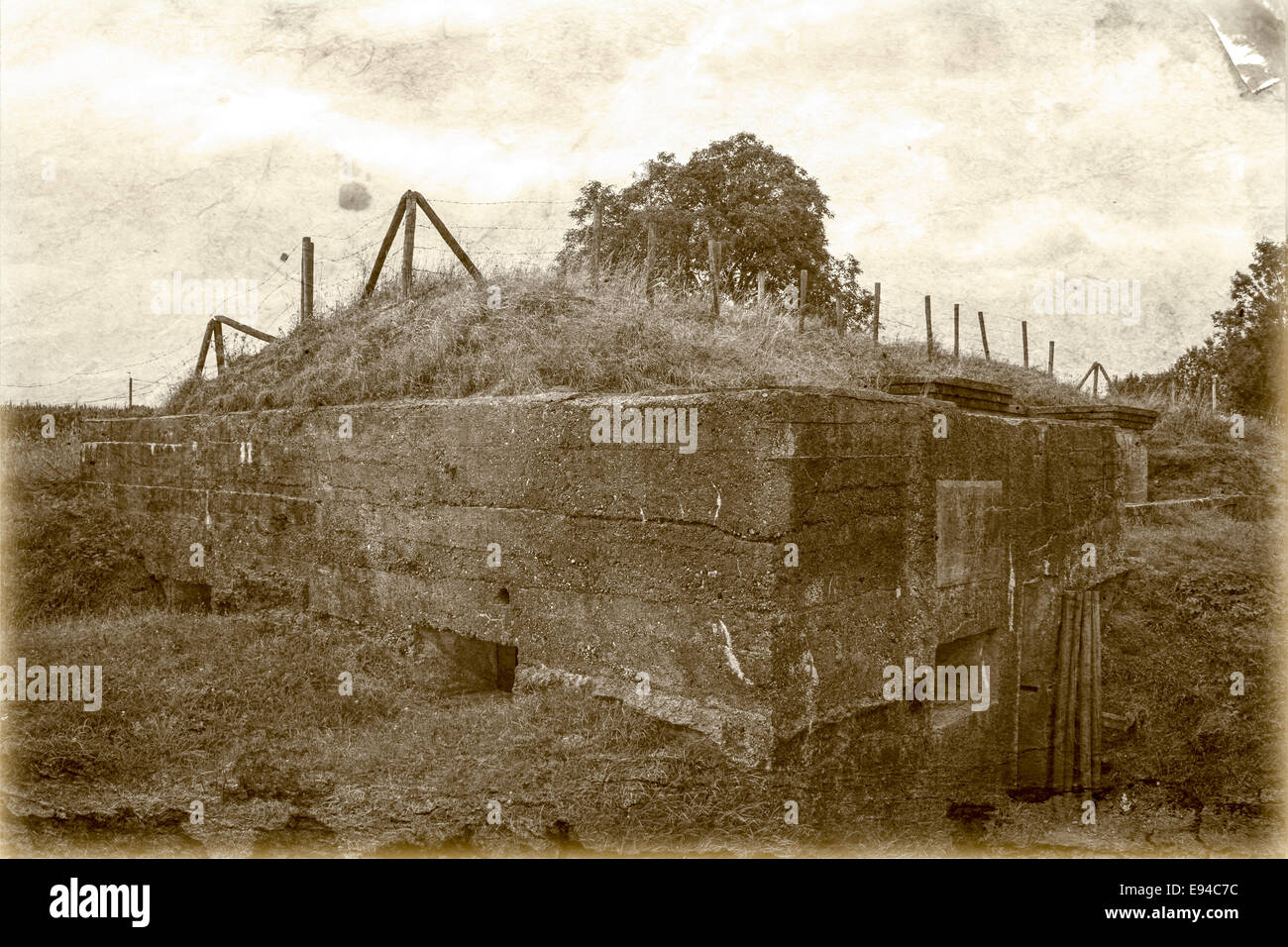 Bunker pillbox great world war 1 flanders belgium Stock Photo - Alamy