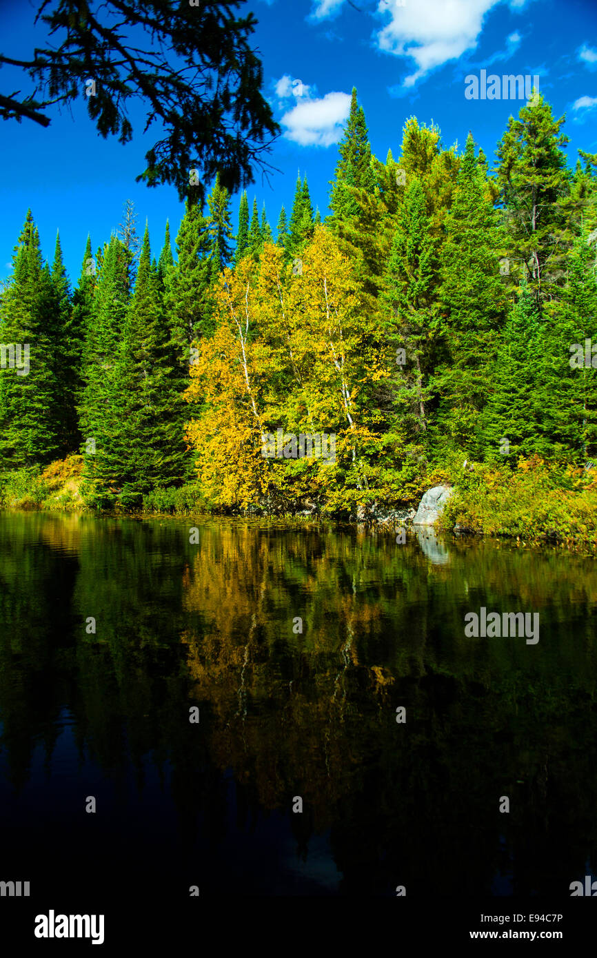 Algonquin Provincial Park Opeongo Lake Fall colors. Ontario Canada ...