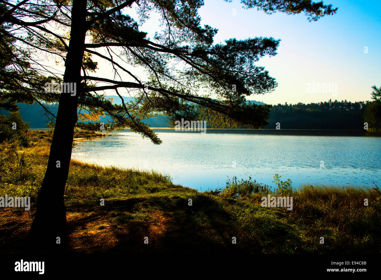 Algonquin provincial park opeongo lake hi-res stock photography and ...