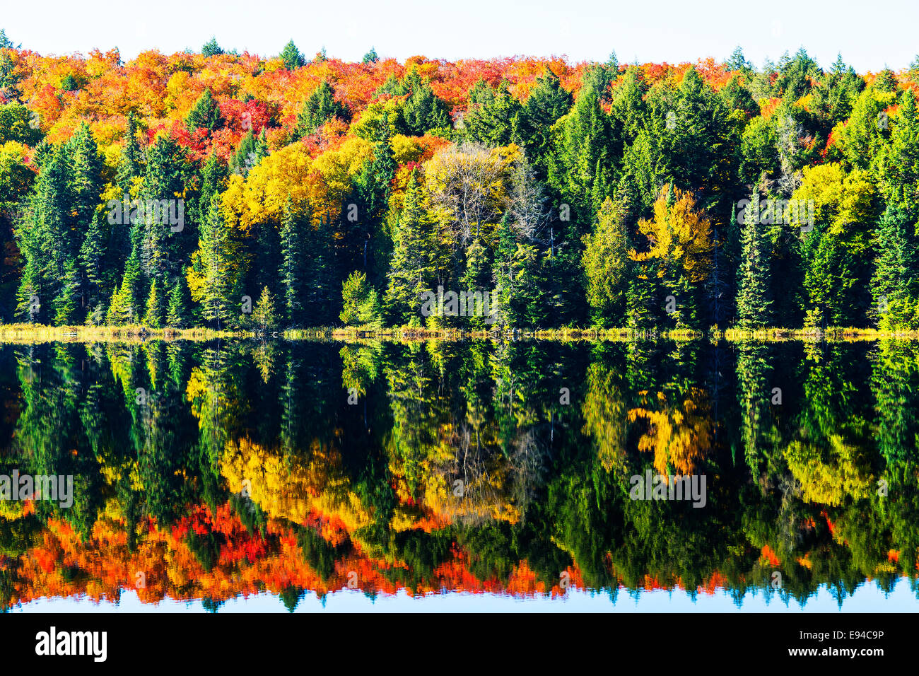 Fall autumn colors hi-res stock photography and images - Alamy