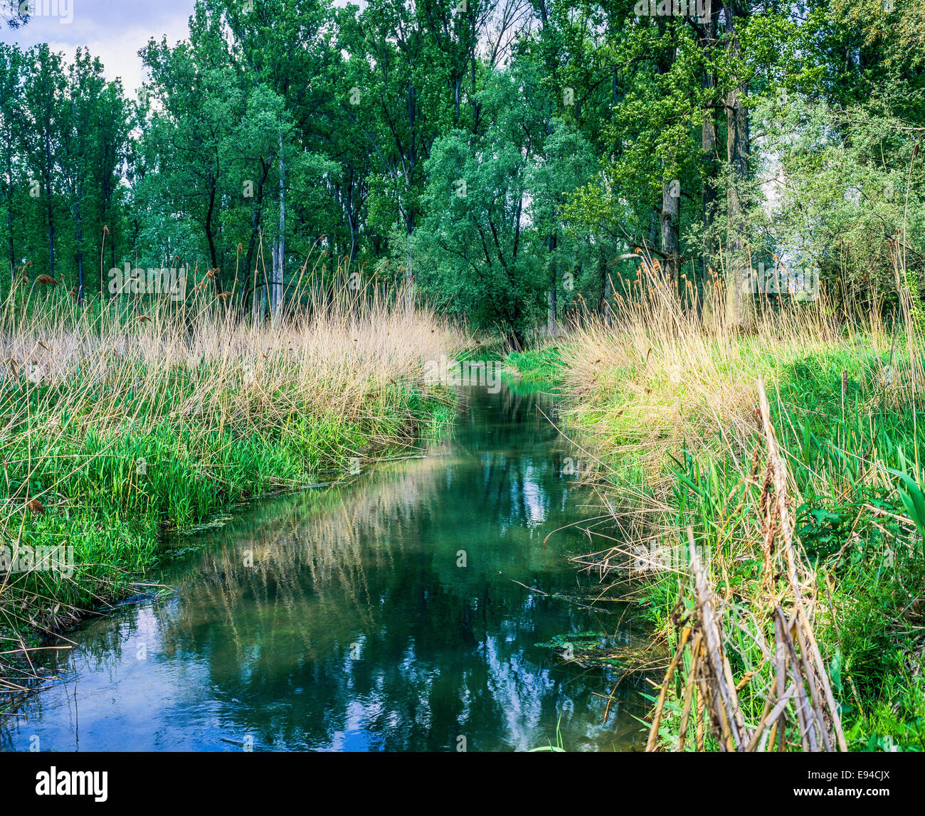 Offendorf hi-res stock photography and images - Alamy