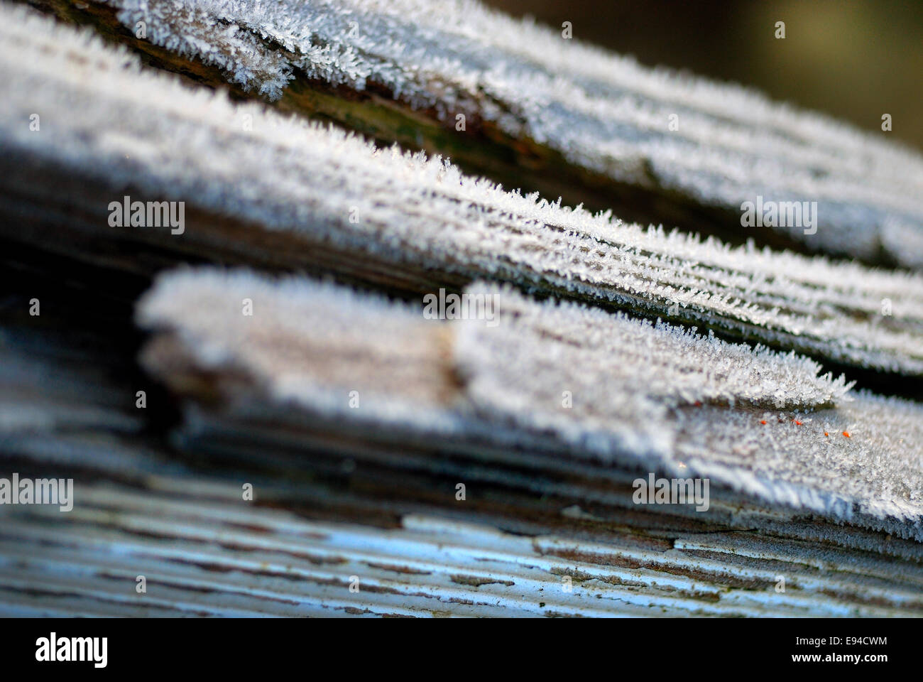 Frost covered wood Stock Photo - Alamy