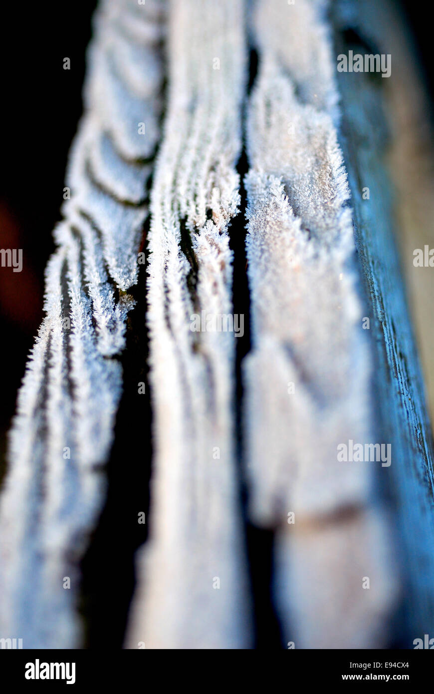 Frost covered wood Stock Photo - Alamy