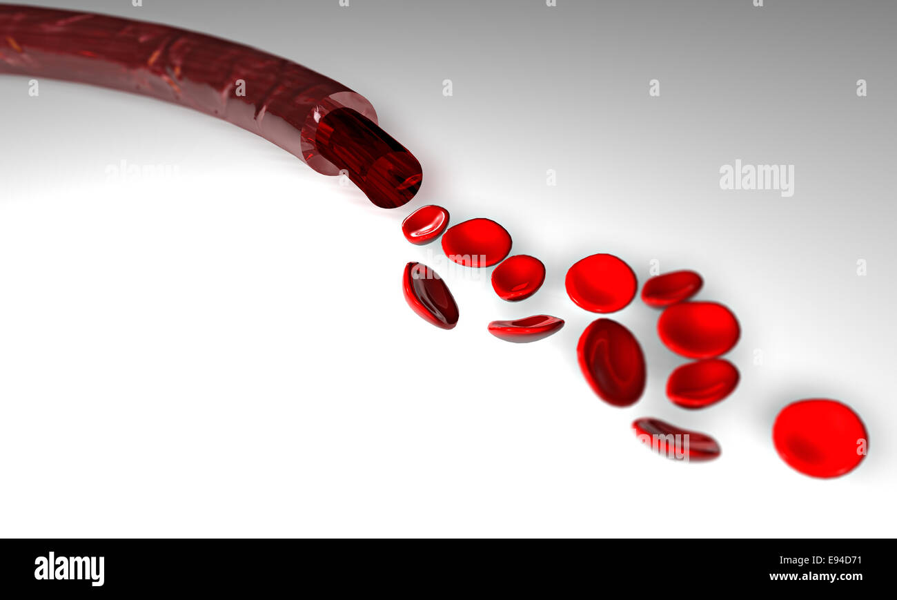 Section of a vein with blood and red blood cells on a plane Stock Photo ...