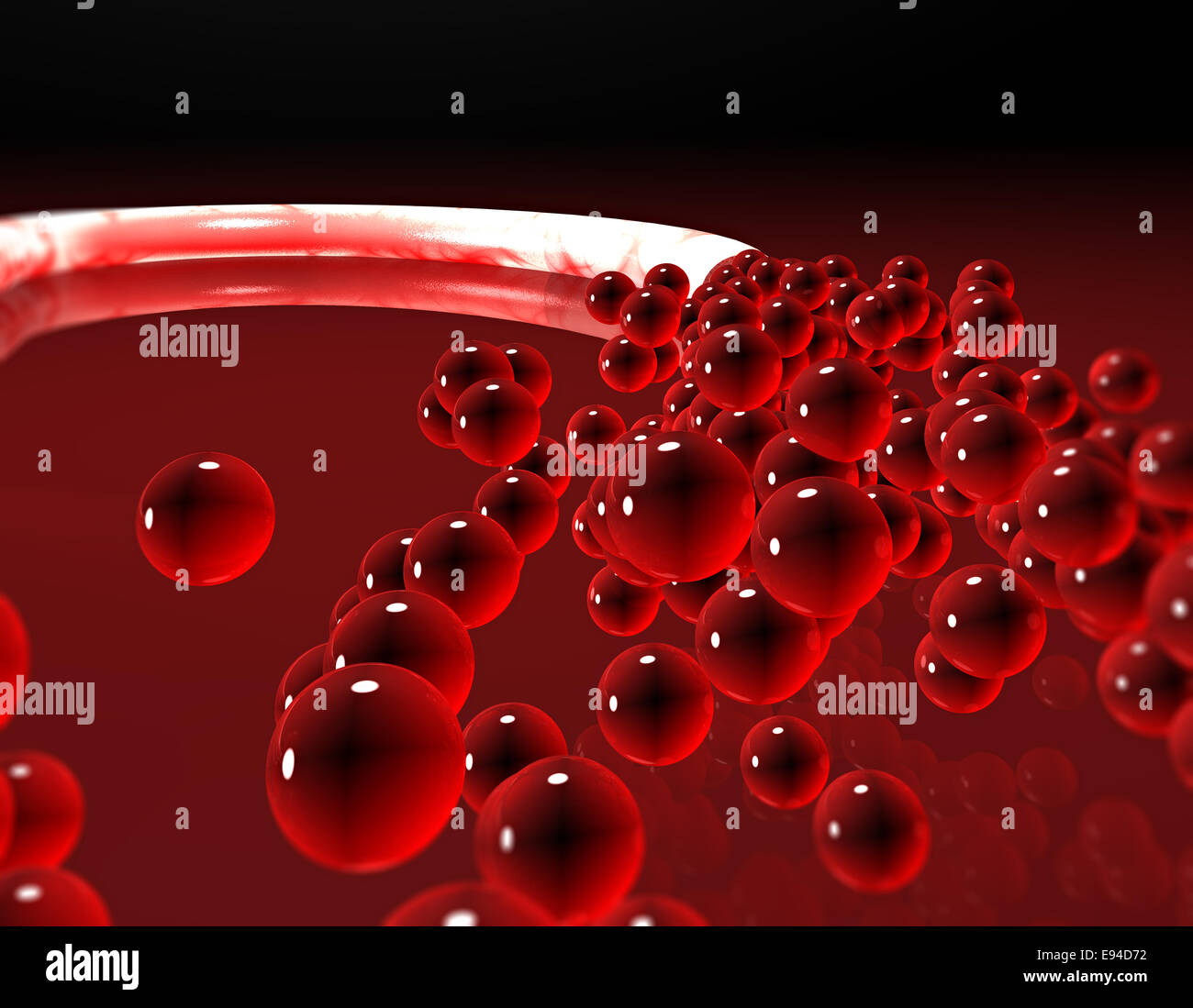 Section of a vein with blood and red blood cells on a plane Stock Photo ...