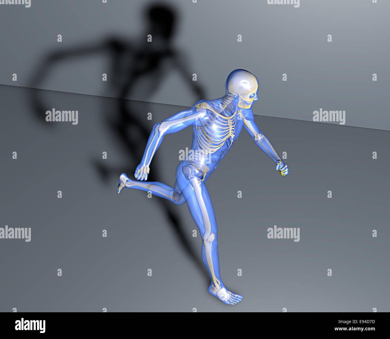 Man running, radiography of the human body Stock Photo - Alamy