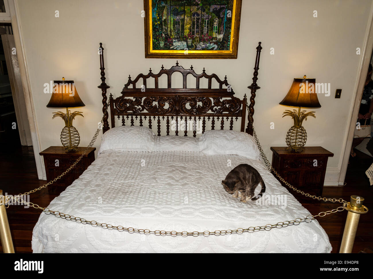 US, Florida, Key West. Interior of Ernest Hemingway Home Stock Photo ...