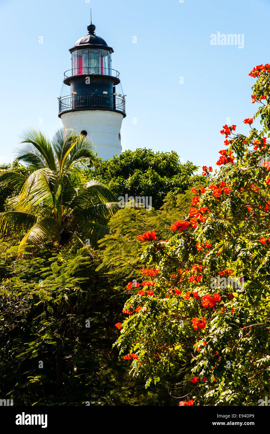 US, Florida, Key West. The Lighthouse seen from Ernest Hemingway Home ...