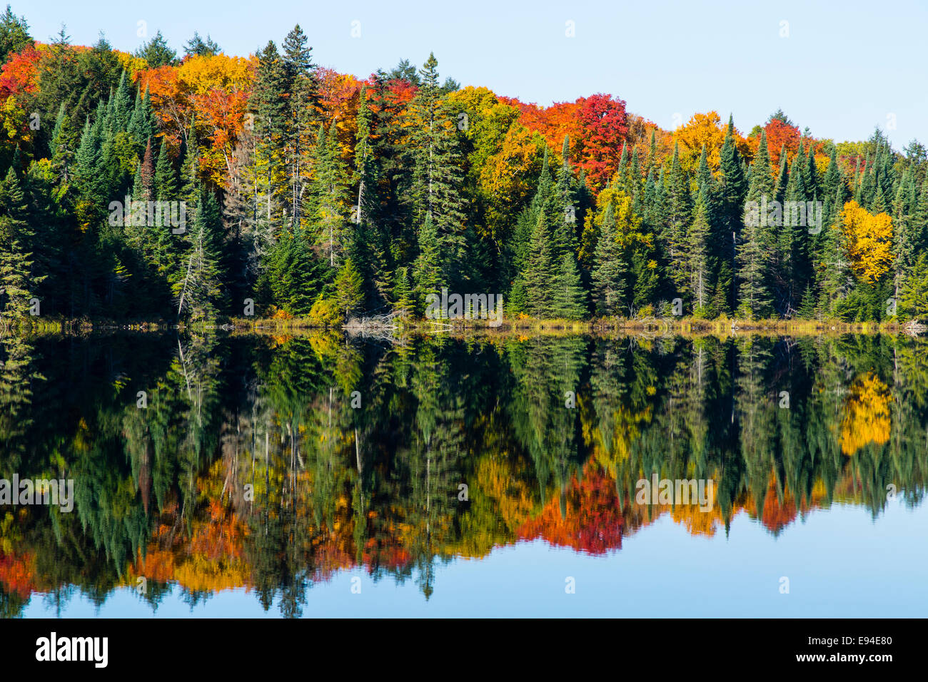 Algonquin Provincial Park Brewer Lake fall colors. Ontario Canada Stock ...