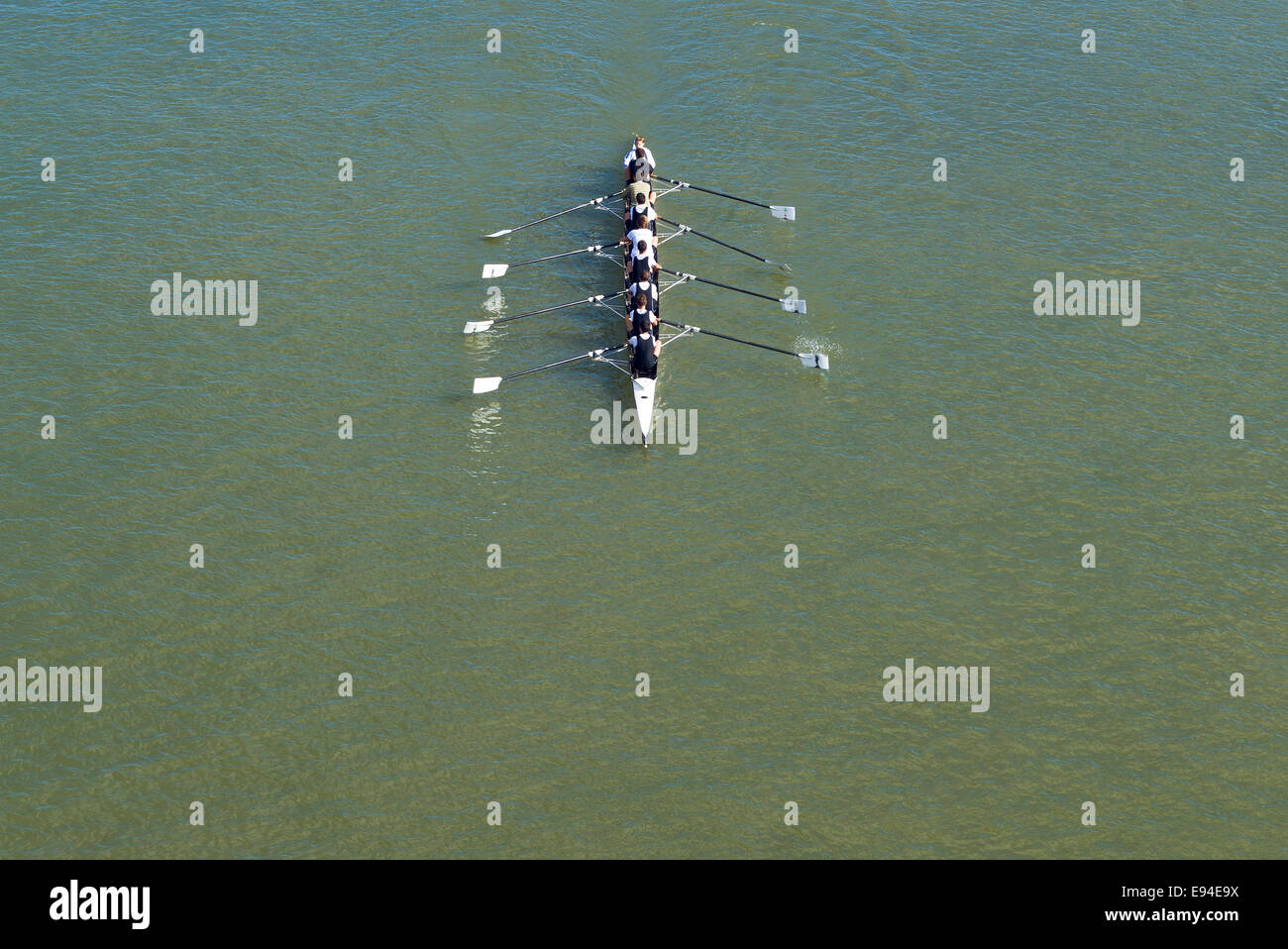 Team rowing on water hi-res stock photography and images - Alamy