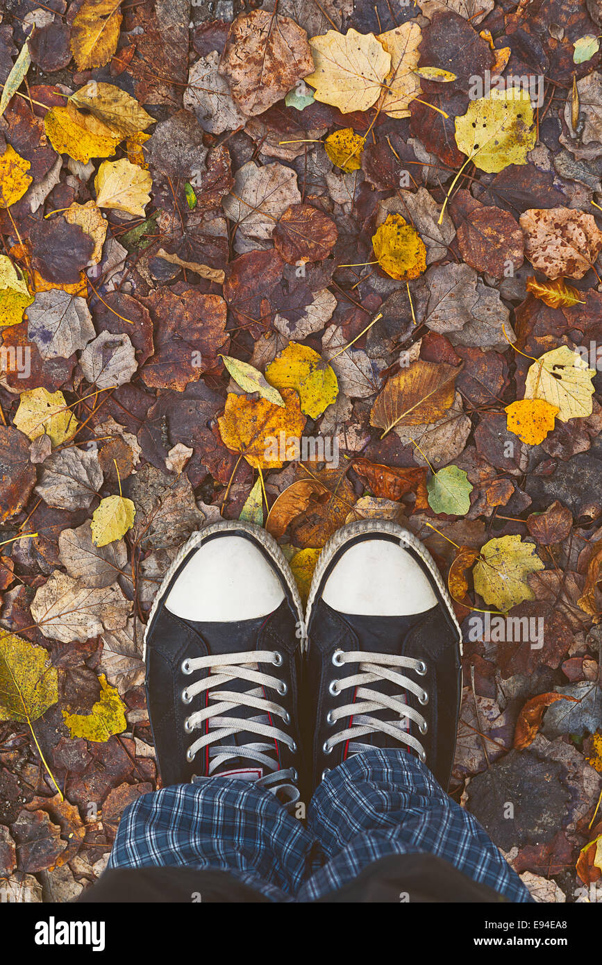 Standing in dry autumn leaves, entering the fall season Stock Photo - Alamy