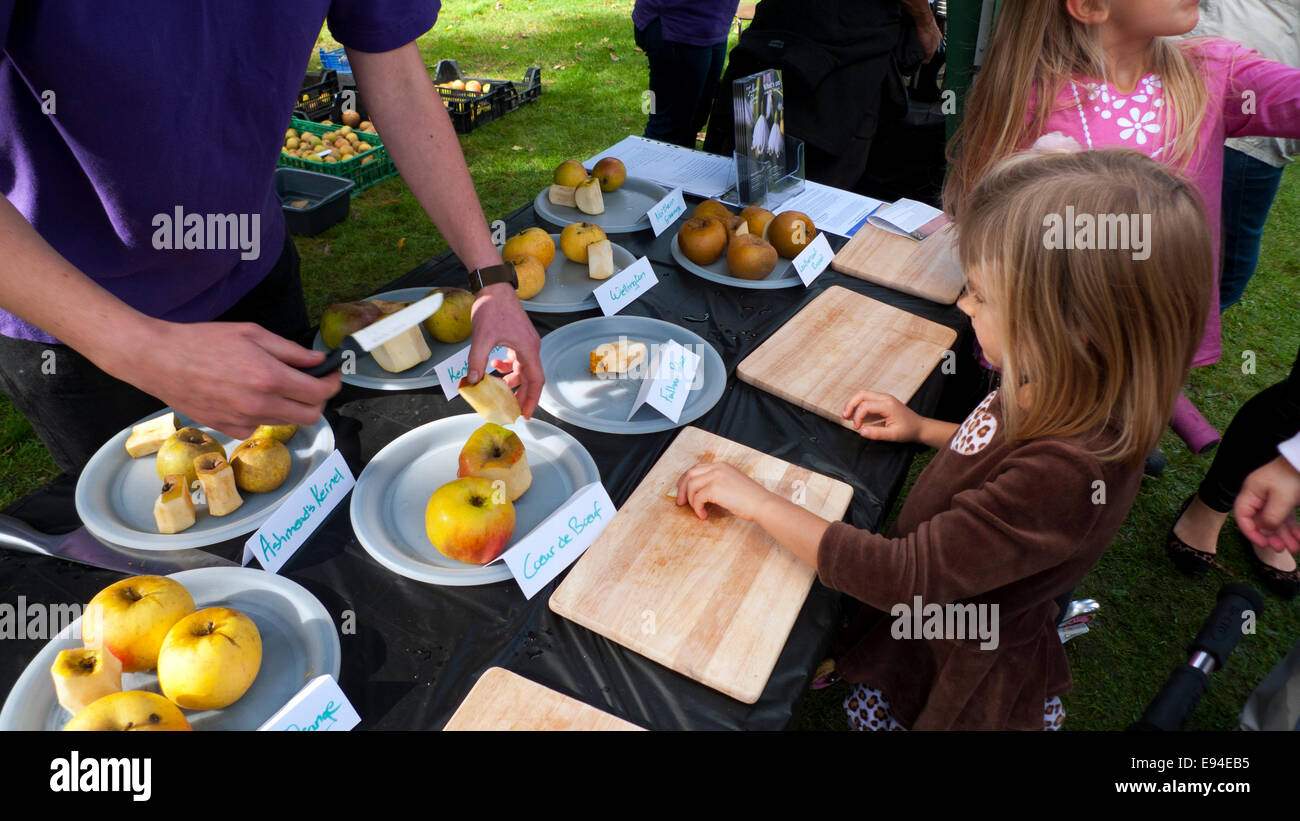 A young girl waits to eat a slice of apple, one of 8 varieties of ...