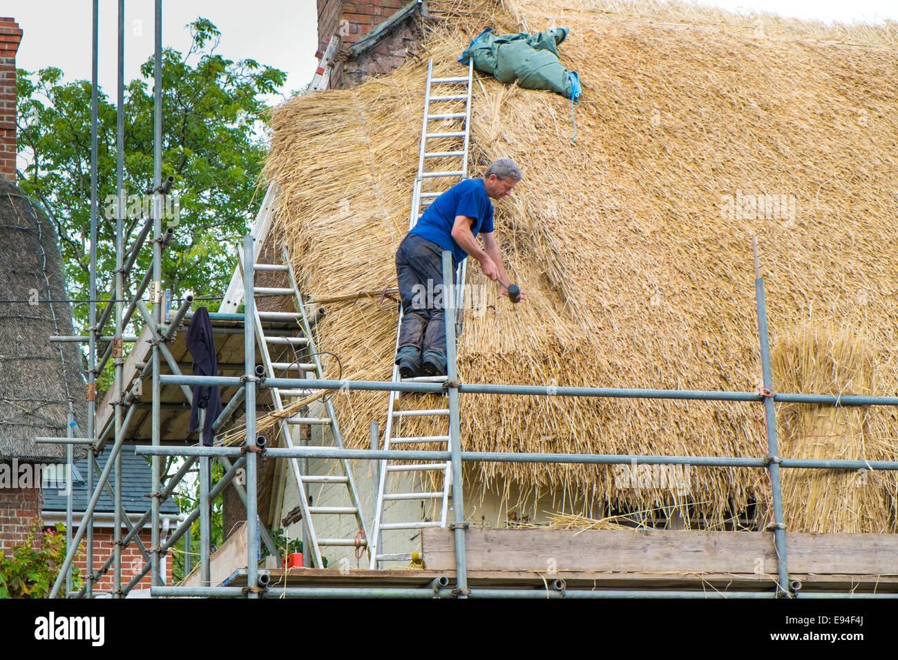 Thatcher Thatch Thatching Wheat High Resolution Stock Photography and Images - Alamy