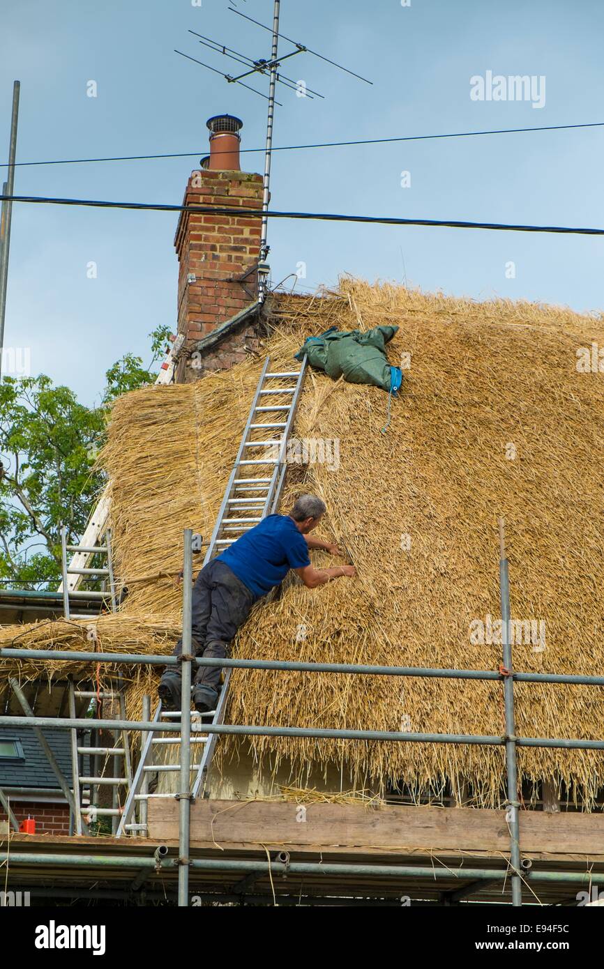 Thatcher Thatch Thatching Wheat High Resolution Stock Photography and Images - Alamy