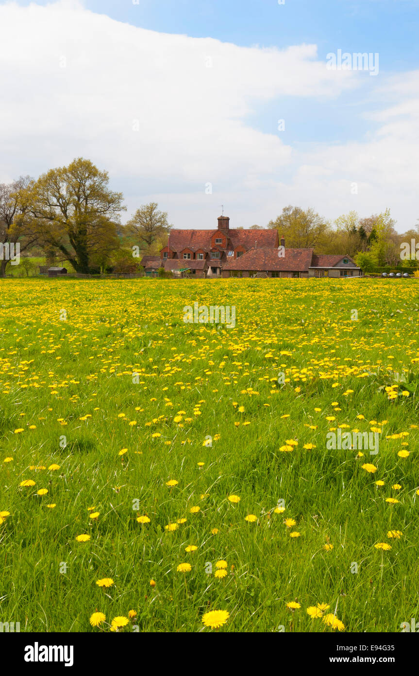 springtime in kent Stock Photo - Alamy