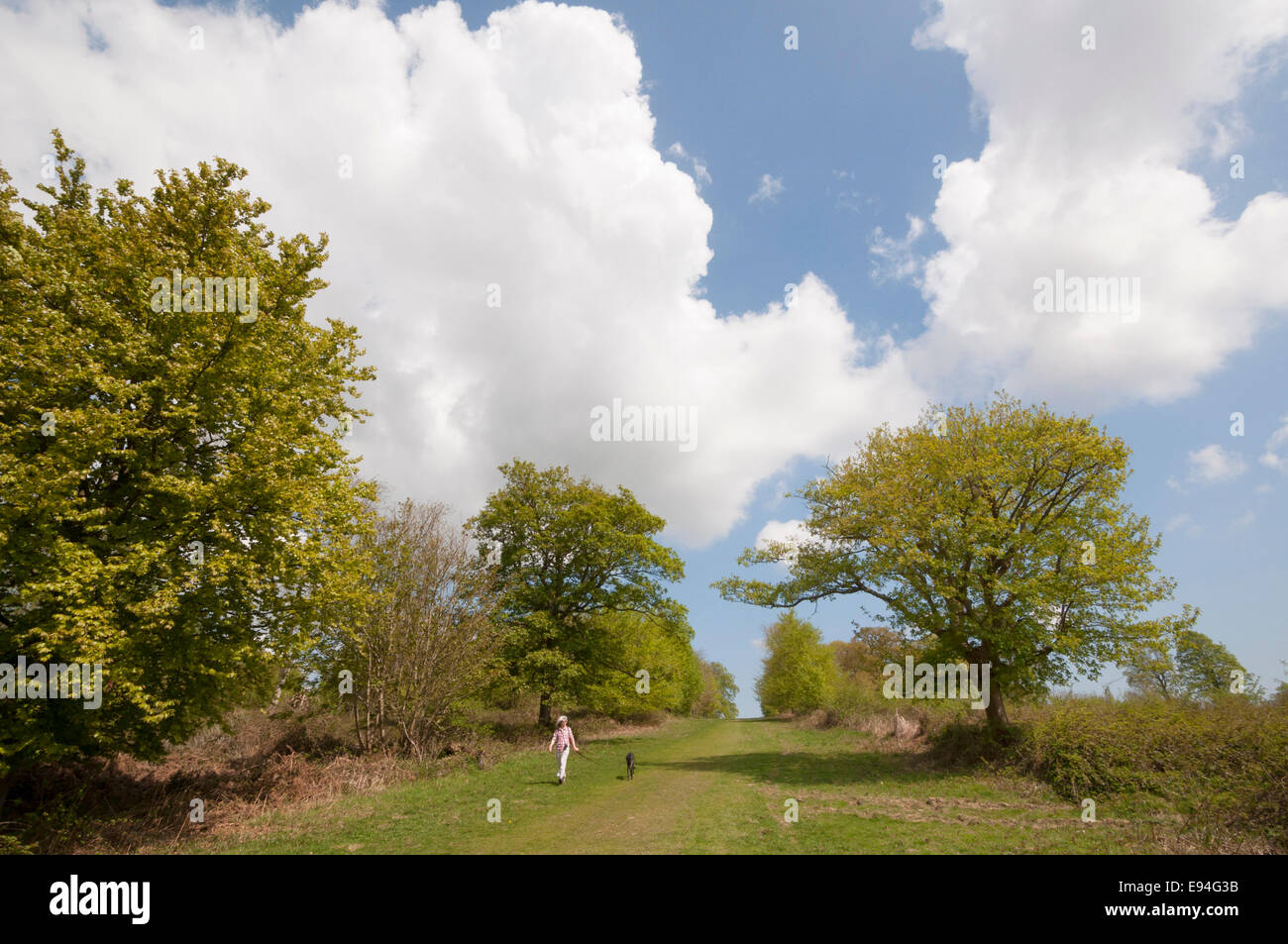 Kent spring path hi-res stock photography and images - Alamy