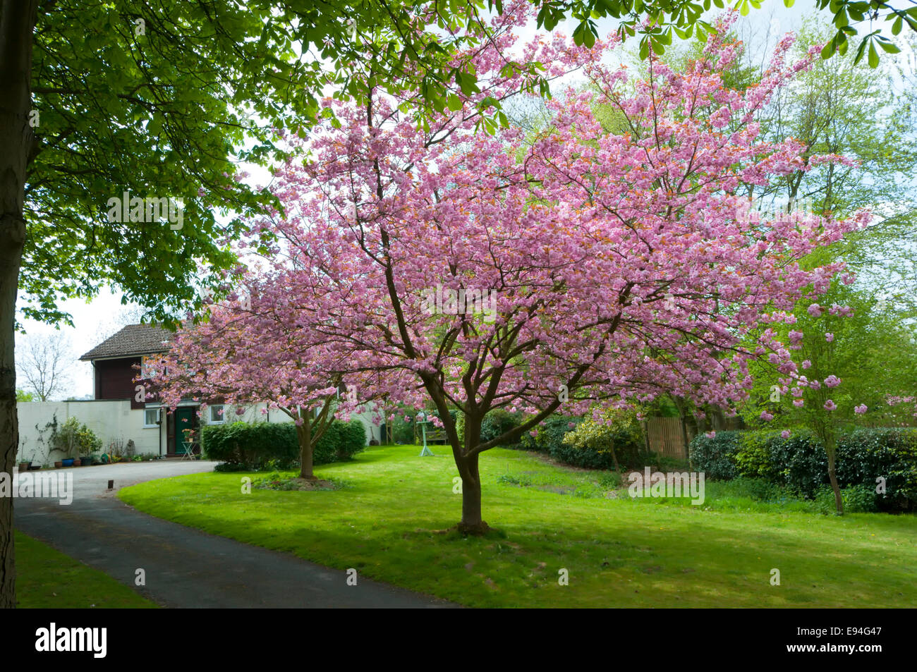 Springtime in Kent Stock Photo - Alamy