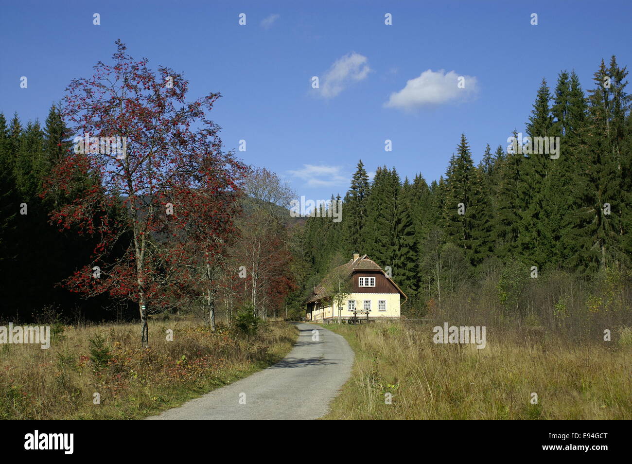 Autumn in the Sumava National Park - Idina Pila Stock Photo - Alamy
