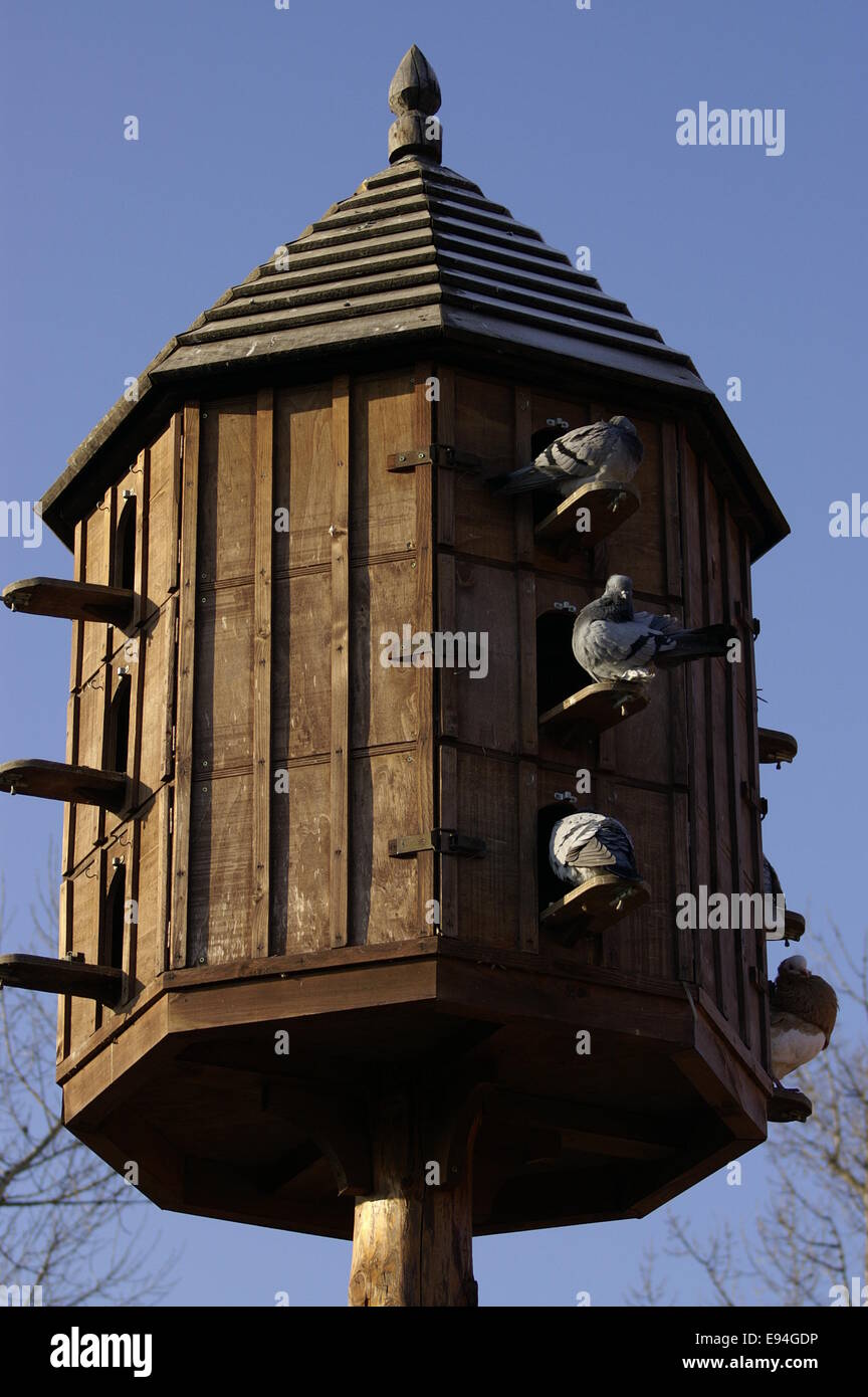 Detail of the Wooden dovecote Stock Photo - Alamy