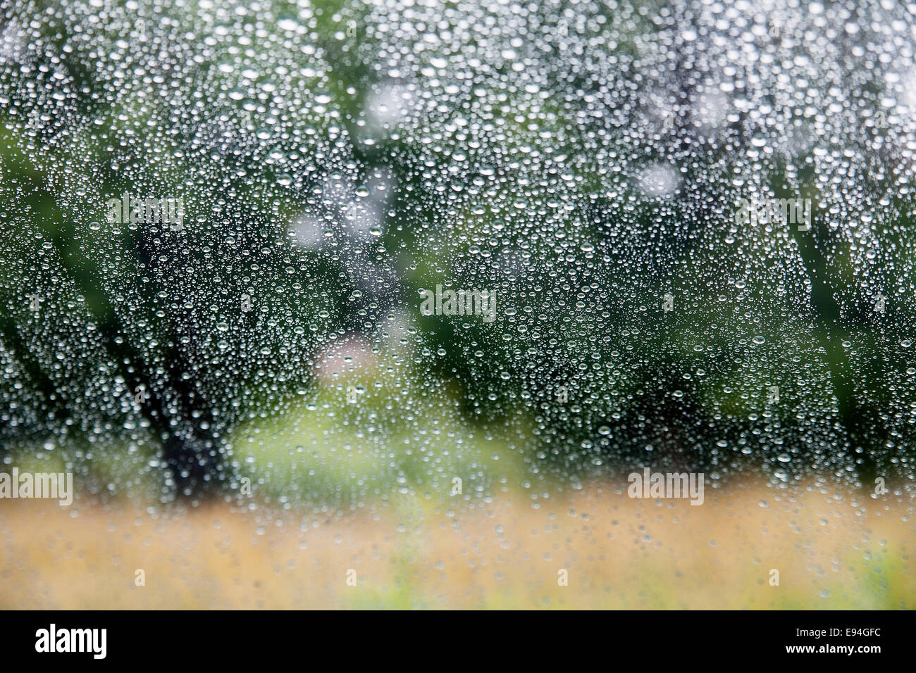 Rain drops and green landscape view through the car windshield Stock ...