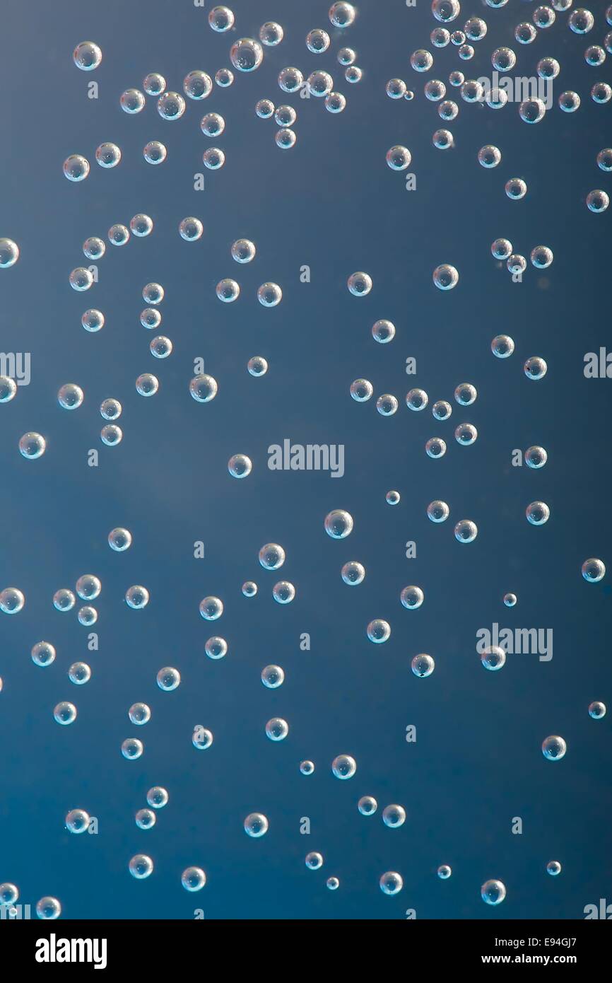 Bubbles fluid hi-res stock photography and images - Alamy