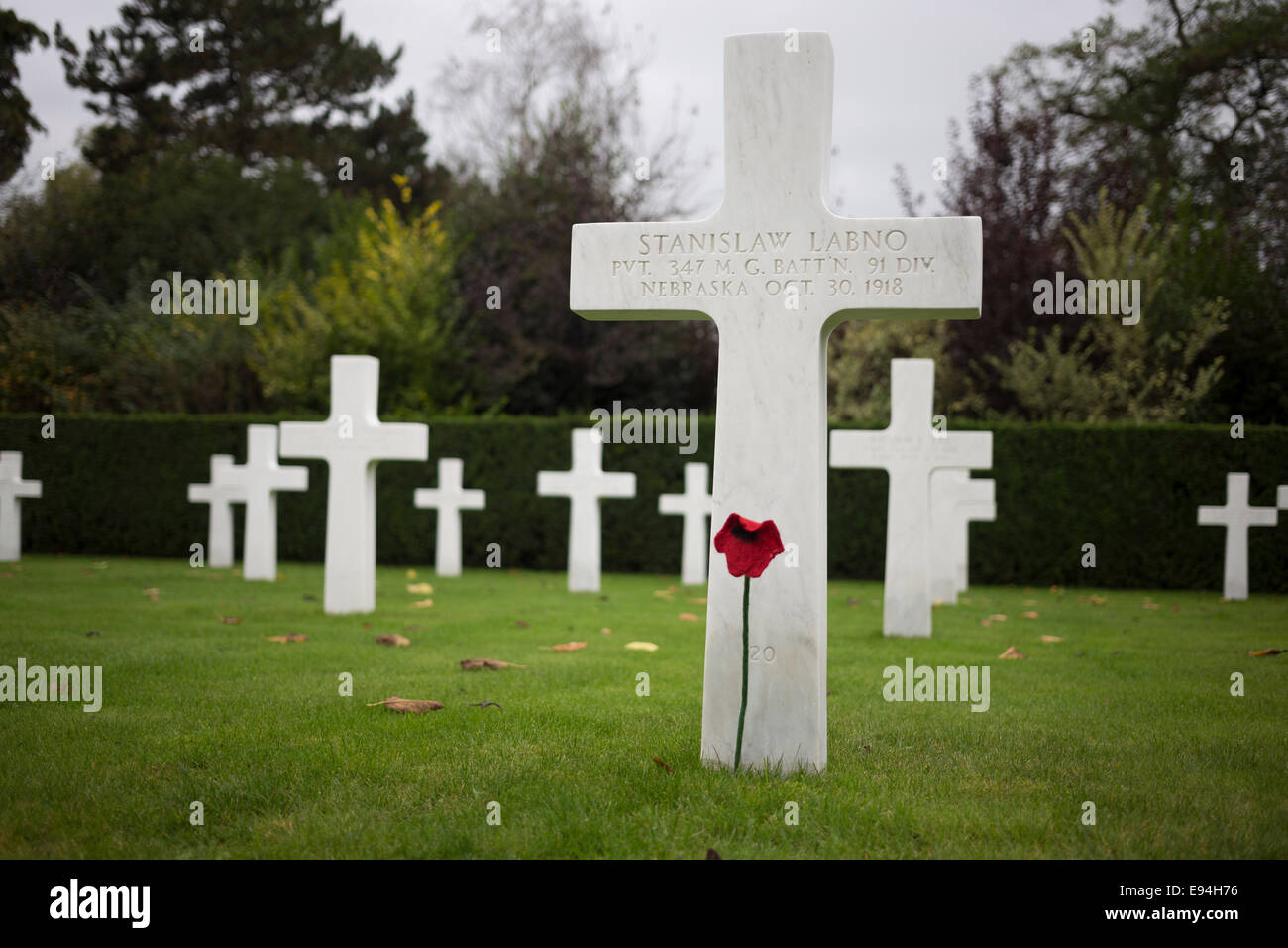 Symbolic poppy in front of white cross at Flanders Field, American ...