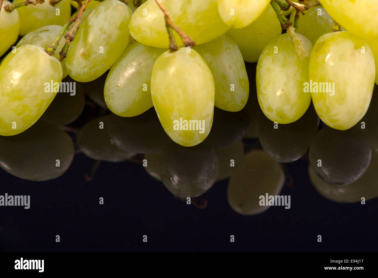 Still life is an eternal beauty Stock Photo - Alamy