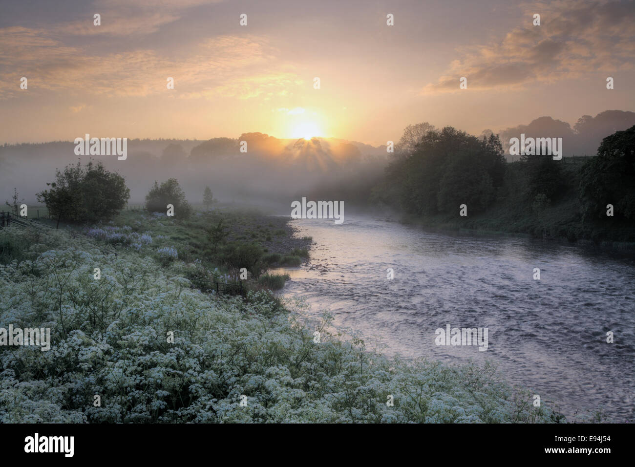 Misty river hi-res stock photography and images - Alamy