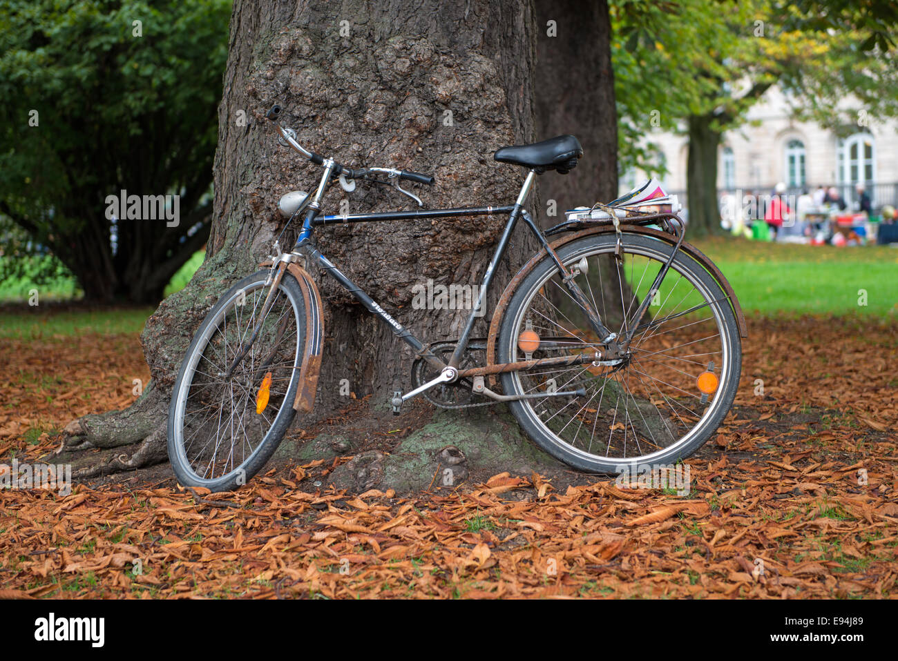 Rustic bike leaning against a tree with autumn leaves lying on the ...