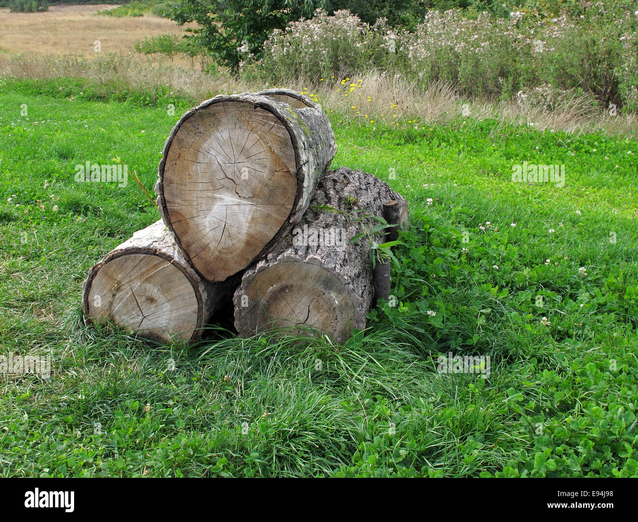 Three logs stacked up in the countryside Stock Photo - Alamy