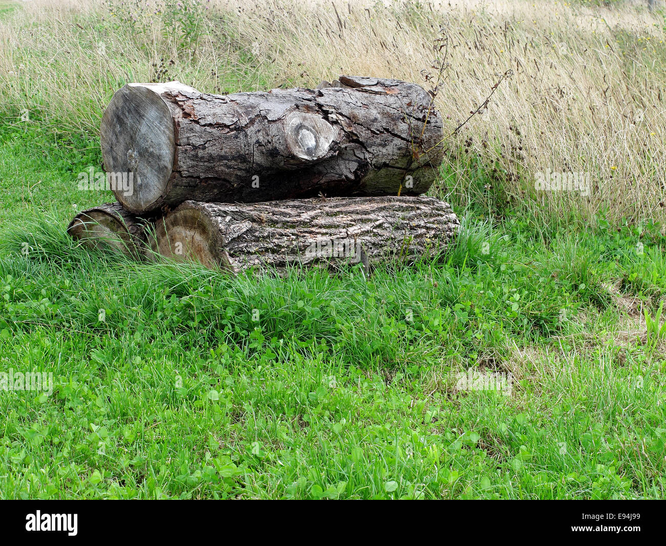 Three logs stacked up in the countryside Stock Photo - Alamy