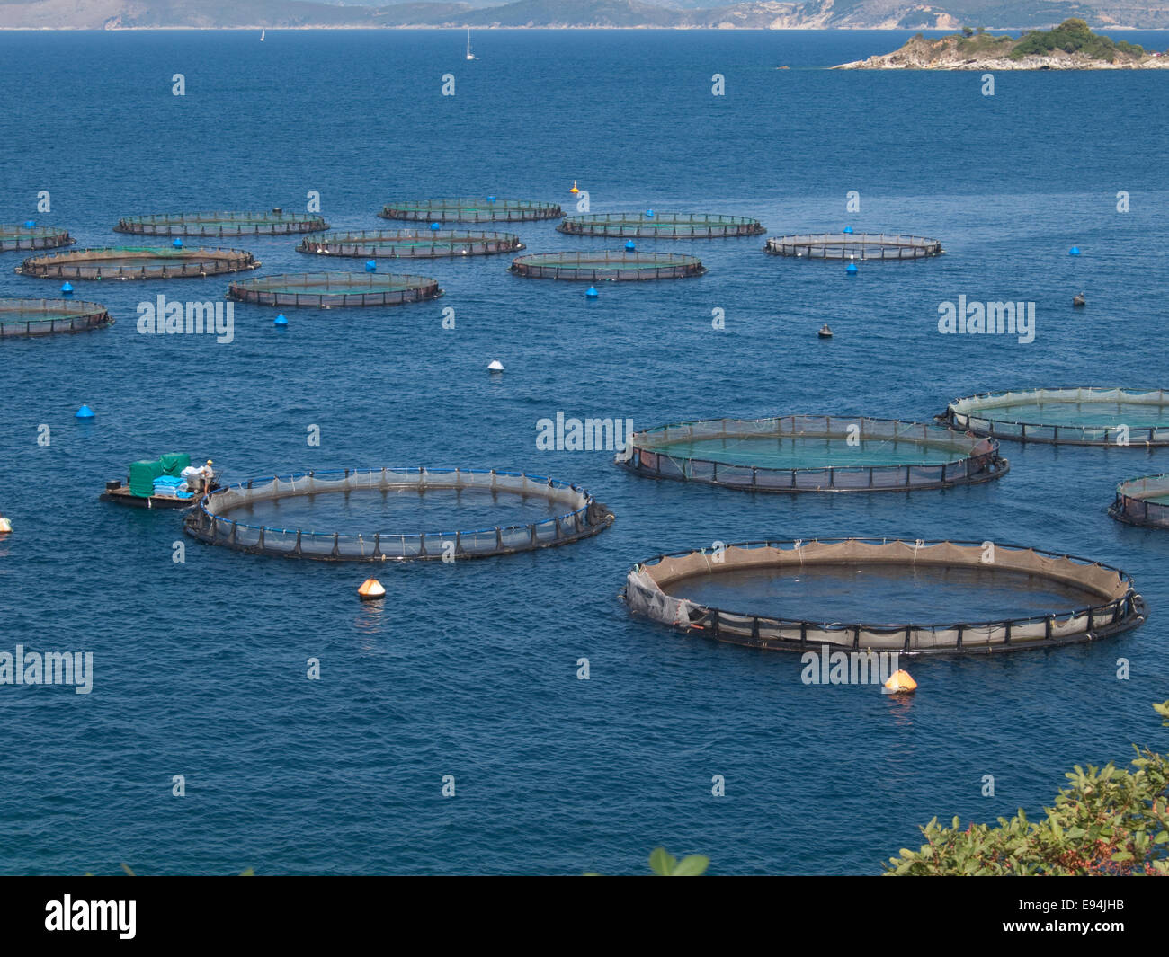Fish farm on the coast of Corfu. 2014 Stock Photo - Alamy