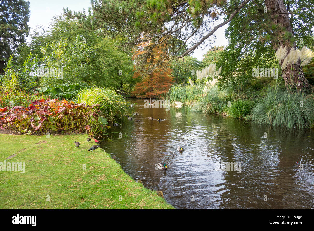 Cambridge Botanical Gardens Stock Photos & Cambridge Botanical Gardens ...