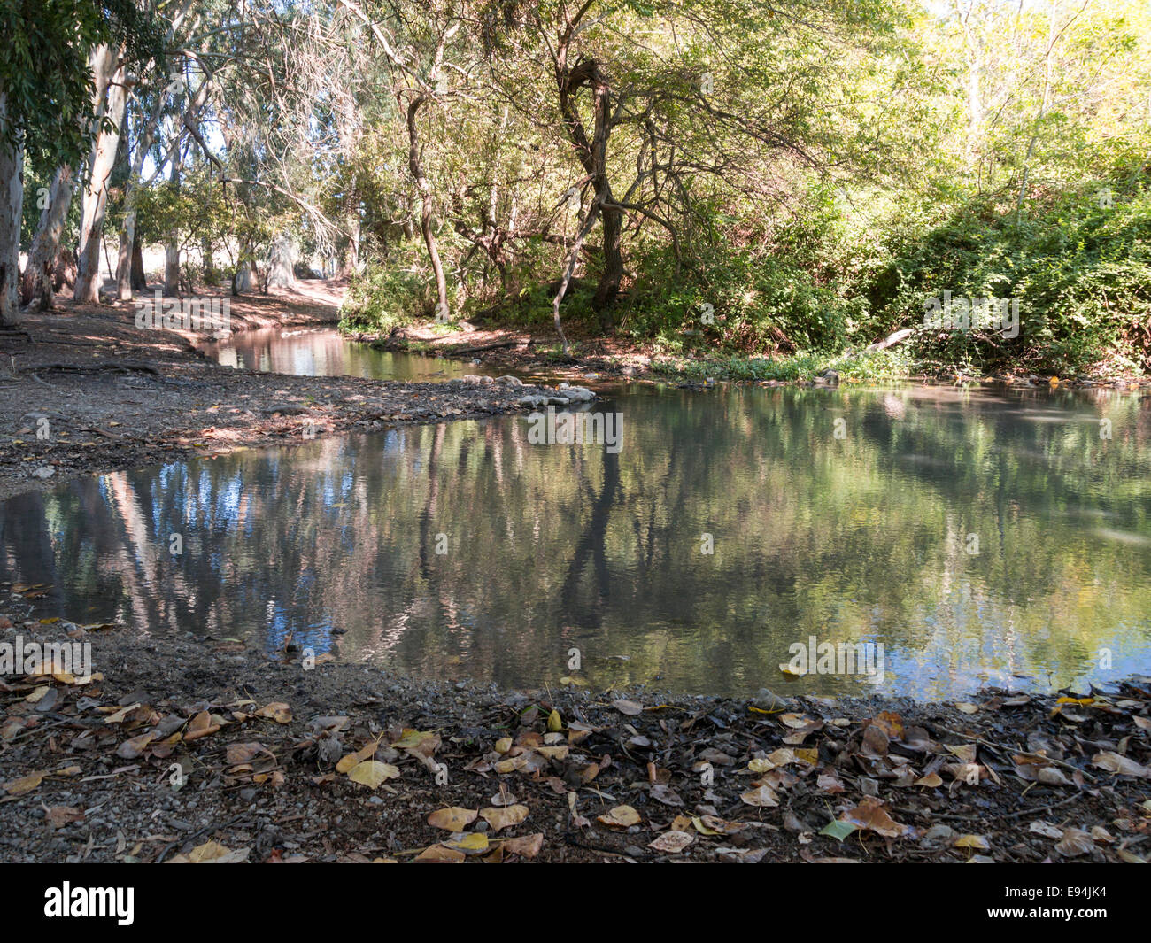 Ramot hi-res stock photography and images - Alamy