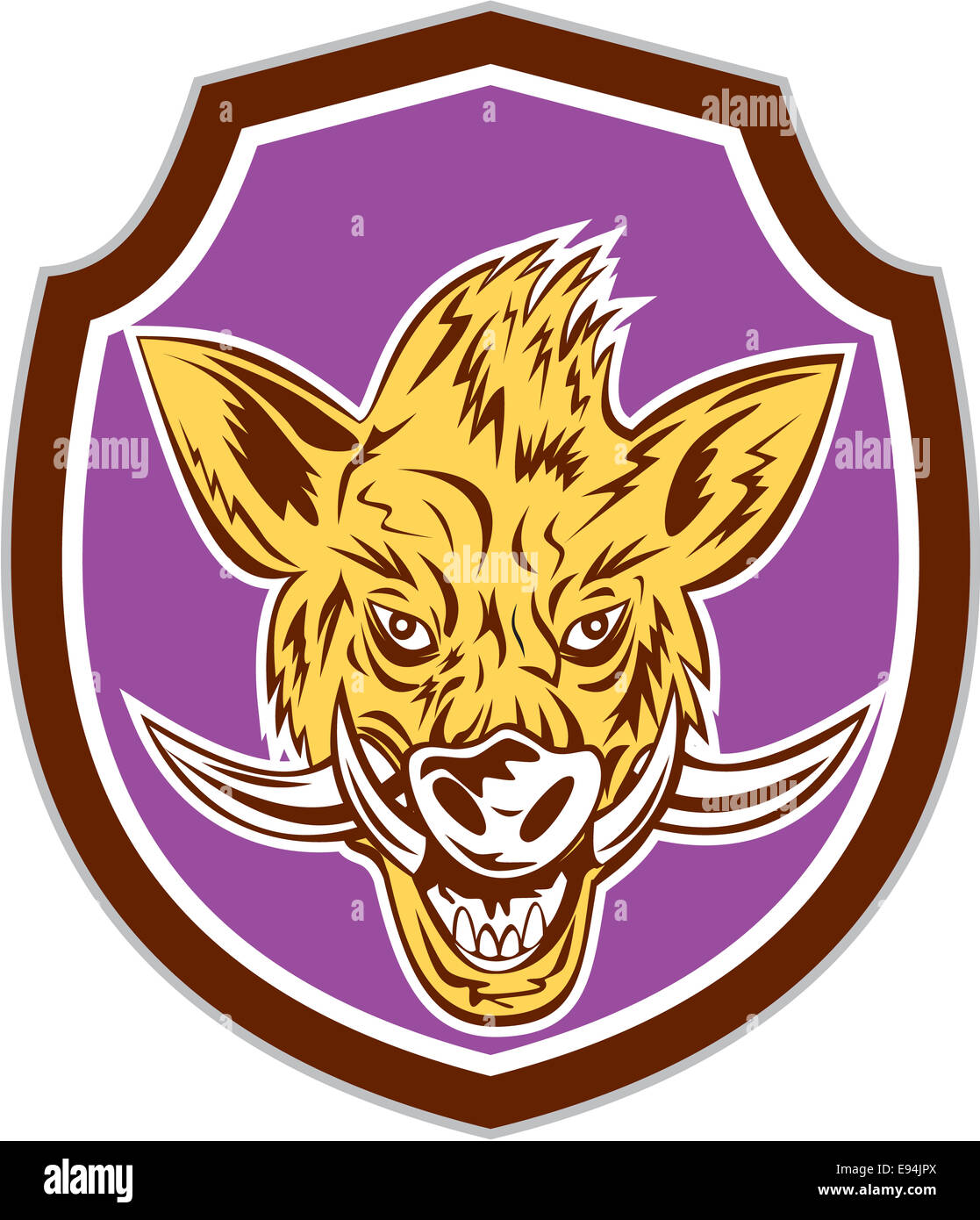 Illustration of a wild pig boar razorback head viewed from front set ...