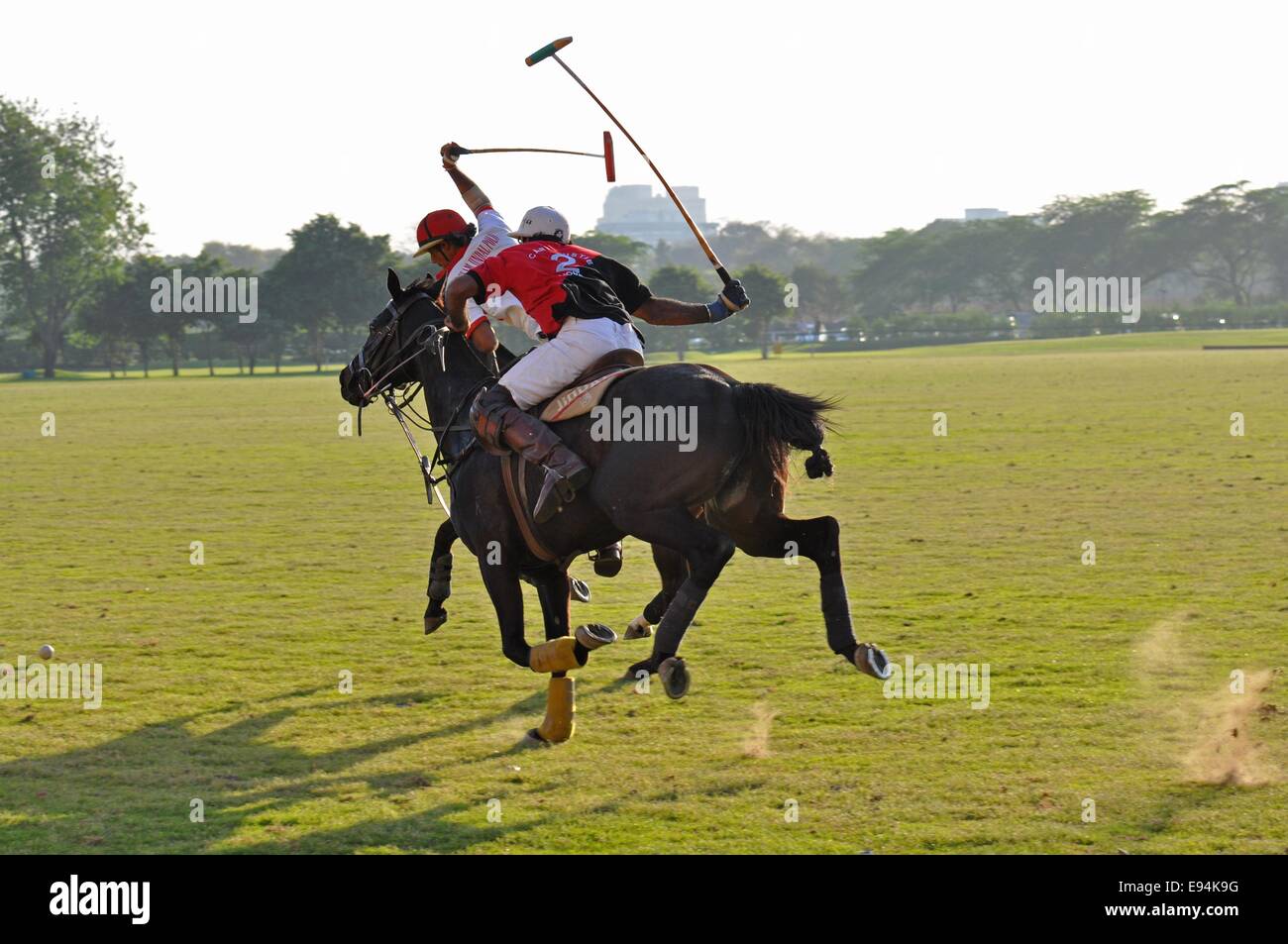 Polo mallet hi-res stock photography and images - Alamy