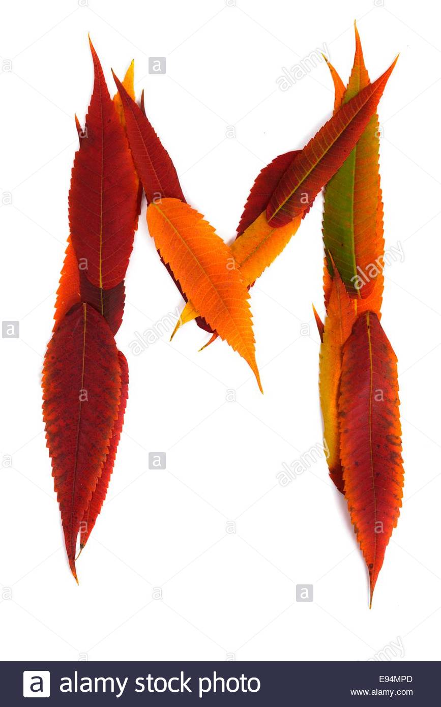 Letter M Leaves Stock Photos & Letter M Leaves Stock Images - Alamy