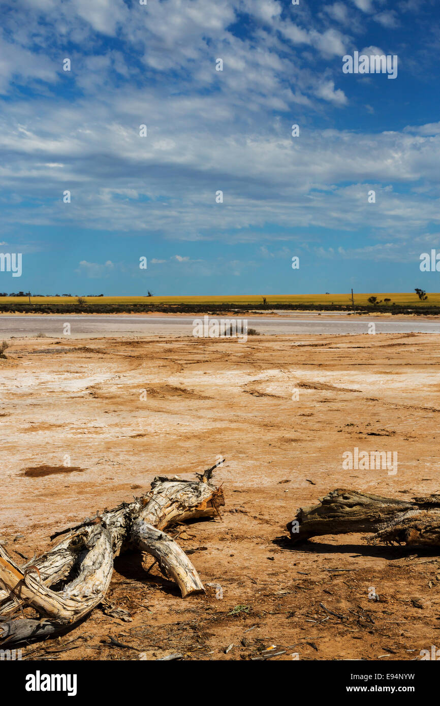 Tyrrell lake hi-res stock photography and images - Alamy