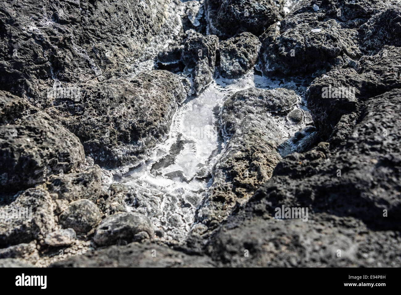 An ocean of salt hi-res stock photography and images - Alamy
