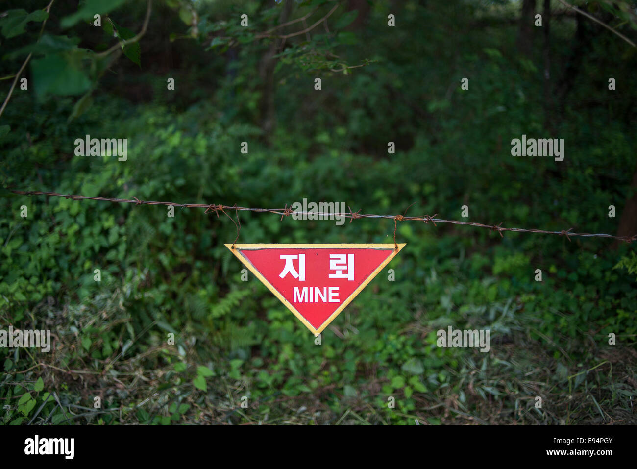 Danger sign for landmines hi-res stock photography and images - Alamy