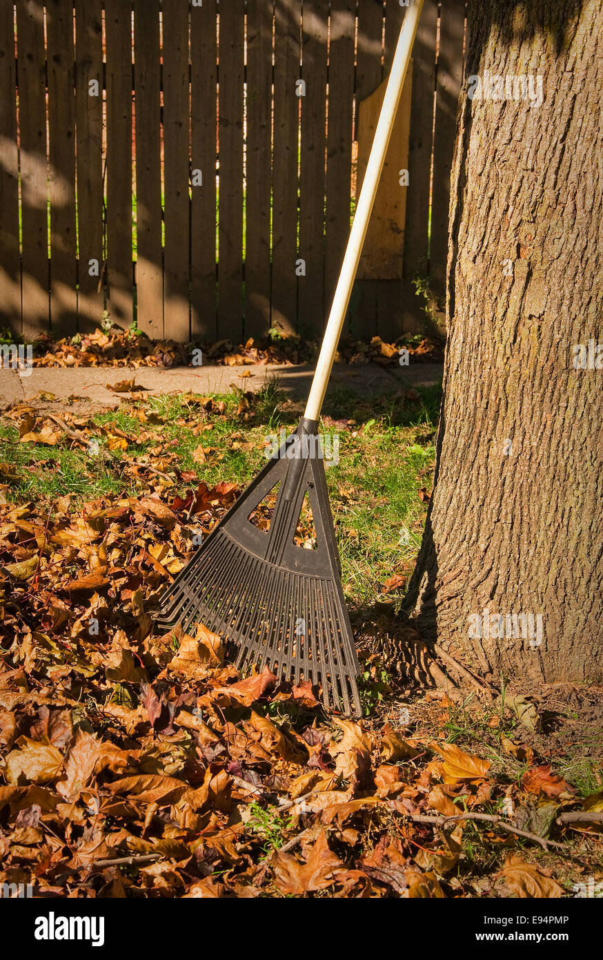 Bagged fall leaves hi-res stock photography and images - Alamy