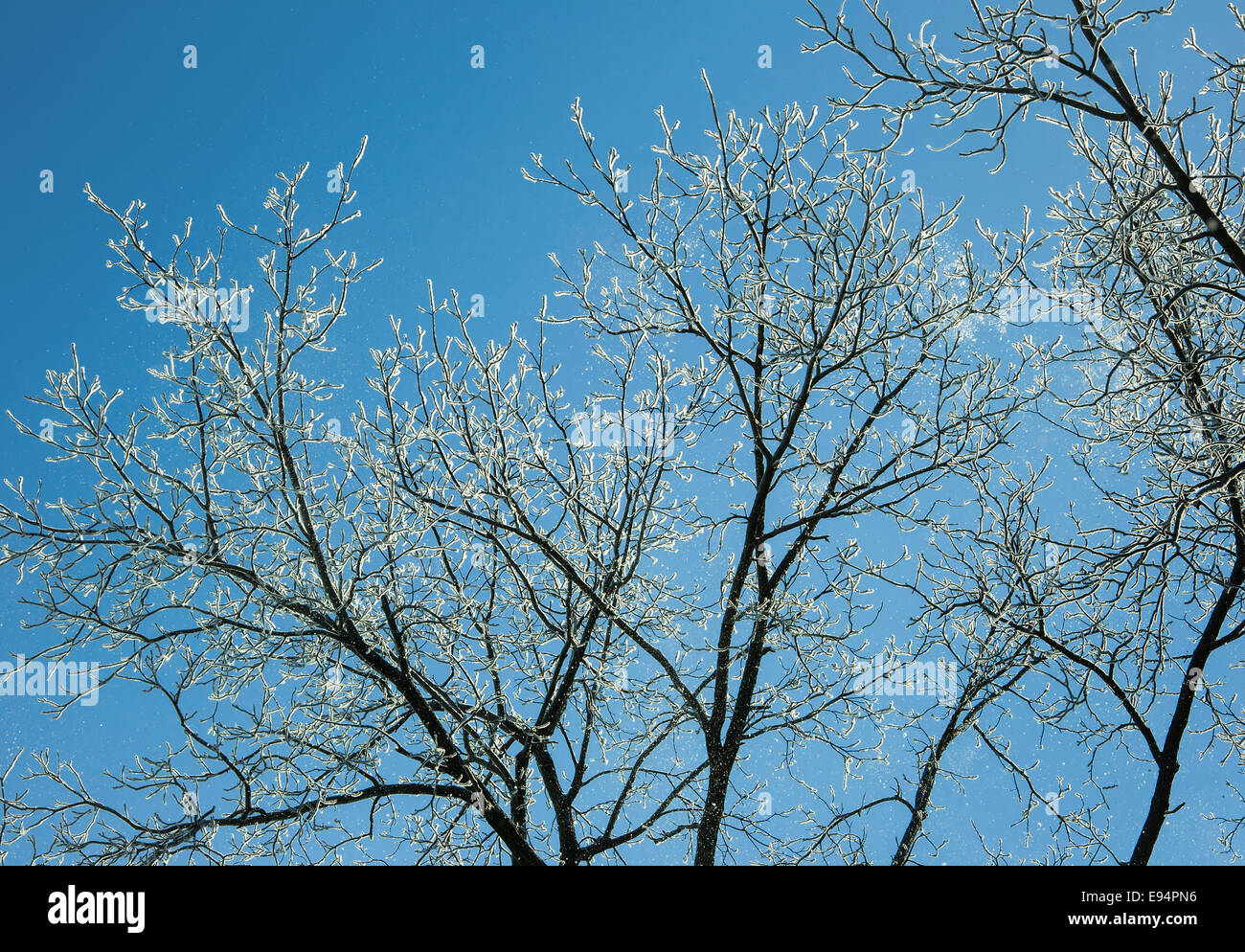 Mid to morning hi-res stock photography and images - Alamy