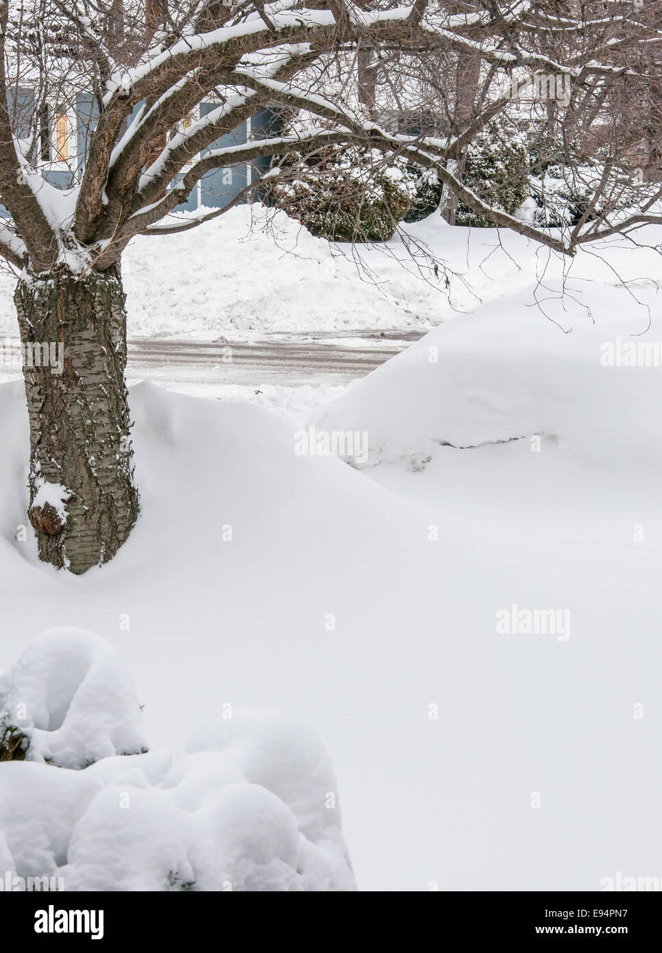 Mid to morning hi-res stock photography and images - Alamy