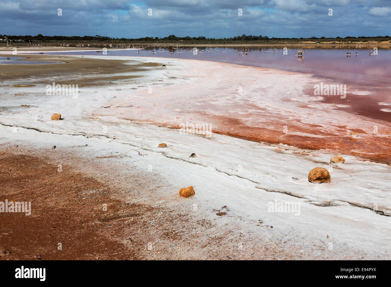 Salt Lake in the Mallee District of Victoria Australia Stock Photo - Alamy