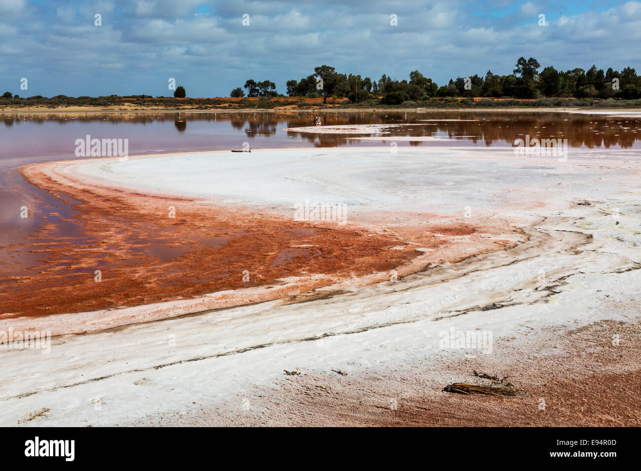 Salt Lake in the Mallee District of Victoria Australia Stock Photo - Alamy