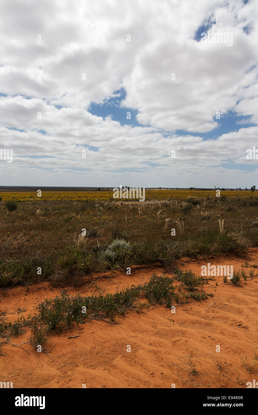 Wentworth new south wales hi-res stock photography and images - Alamy